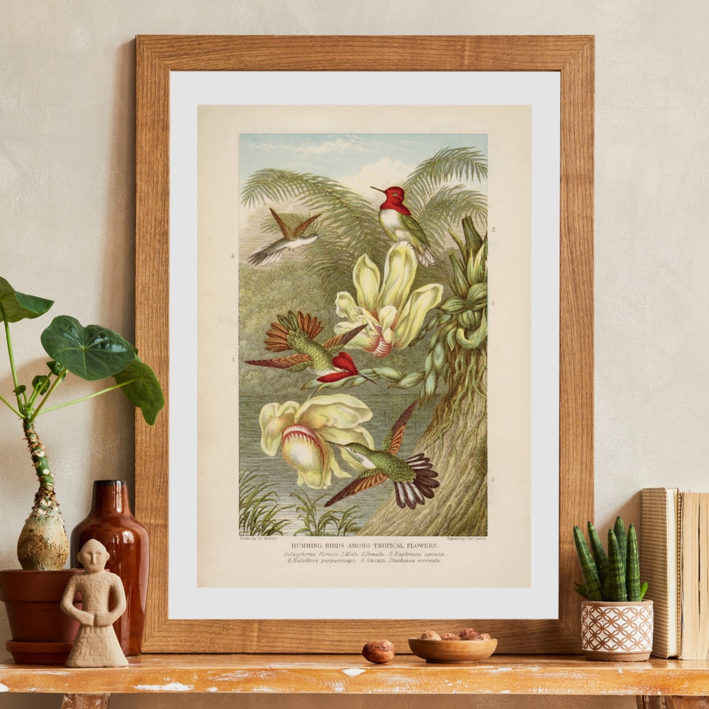 WS Poster "Hummingbirds"// 35 x 50 cm - Lotte's Papery